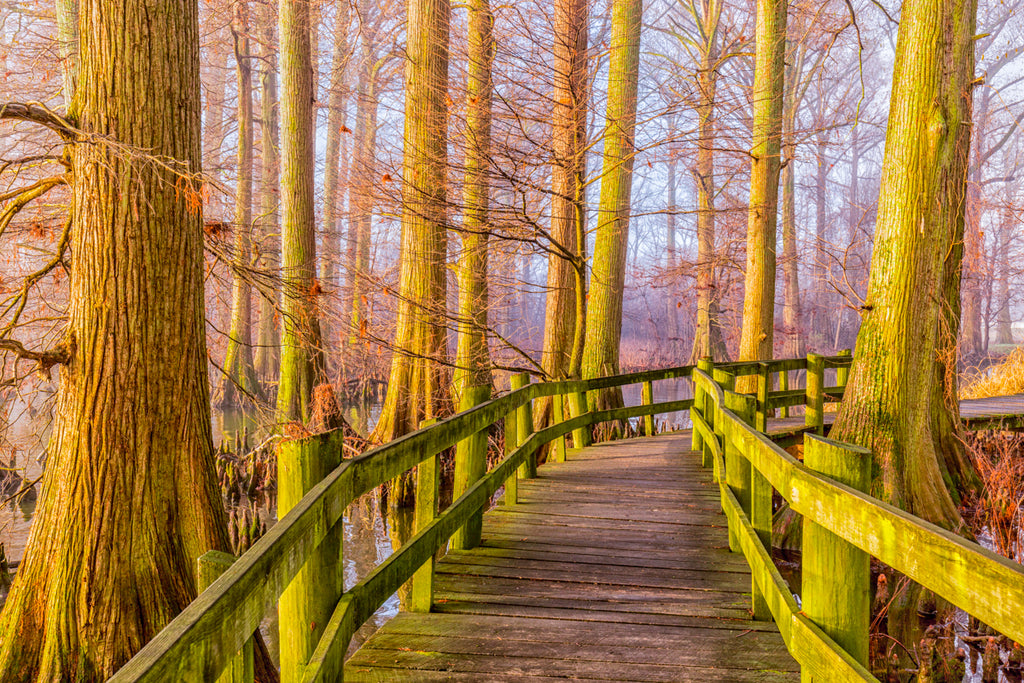 Adventure Beckons - Stunning Nature Photography by Lightly Spiced ...